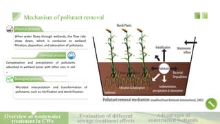 Constructed wetlands for wastewater treatment.pptx