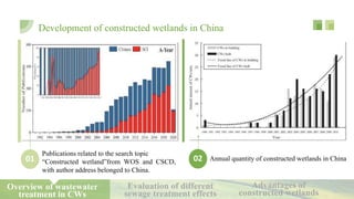 Constructed wetlands for wastewater treatment.pptx