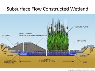 Constructed Wetlands Diagram