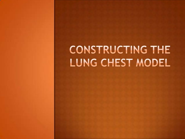 Constructing the lung chest model | PPTX