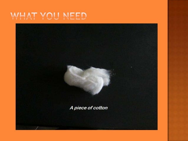 Constructing the lung chest model | PPTX