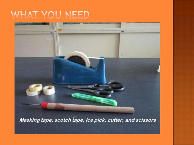 Constructing the lung chest model | PPTX