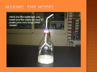 Constructing the lung chest model | PPTX