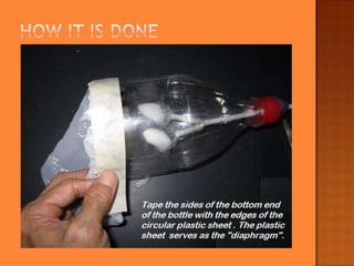 Constructing the lung chest model | PPTX