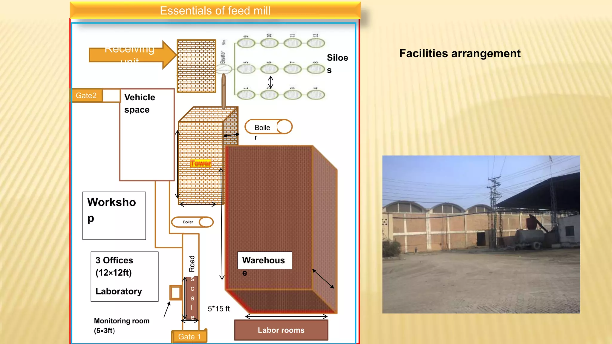 Construction and designing of feed mill | PPTX