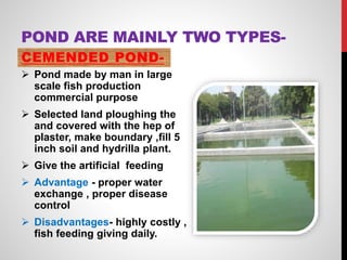 Construction and maintenance of a fish farm | PPTX