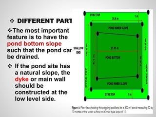 Construction and maintenance of a fish farm | PPTX