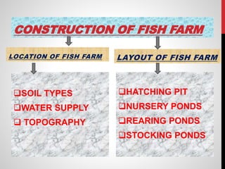 Construction and maintenance of a fish farm | PPTX