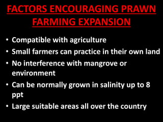 Construction and maintenance of prawn farms | PPTX