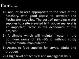 Construction and maintenance of prawn farms | PPTX
