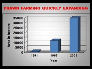 Construction and maintenance of prawn farms | PPTX