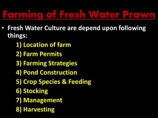 Construction and maintenance of prawn farms | PPTX