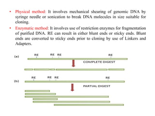 Construction and screening of genomic library | PPTX