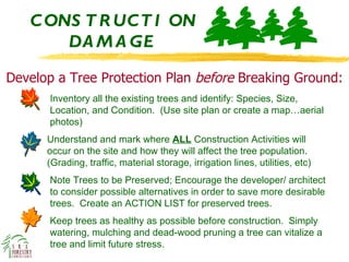 Construction damage | PPT | Gardening | Home & Garden