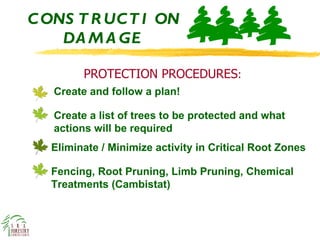 Construction damage | PPT | Gardening | Home & Garden