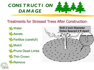 Construction damage | PPT | Gardening | Home & Garden