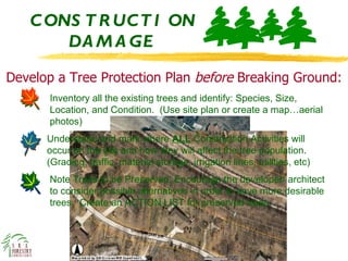 Construction damage | PPT | Gardening | Home & Garden