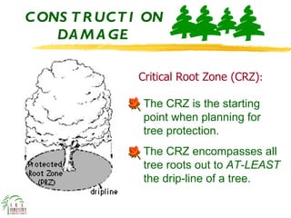 Construction damage | PPT