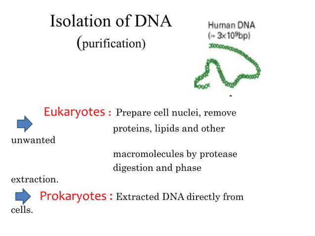 Construction of gene library | PPTX