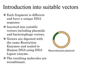 Construction of gene library | PPTX