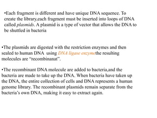 Construction of gene library | PPTX