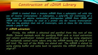 Construction of genomic and c dna library | PPTX