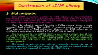 Construction of genomic and c dna library | PPTX