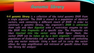 Construction of genomic and c dna library | PPTX