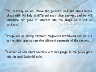 Construction of genomic library in lambda | PDF