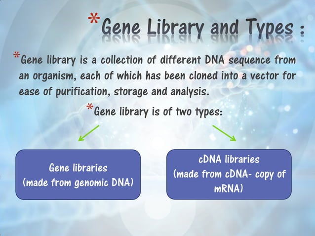 Construction of genomic library in lambda | PDF | Biological Sciences | Science