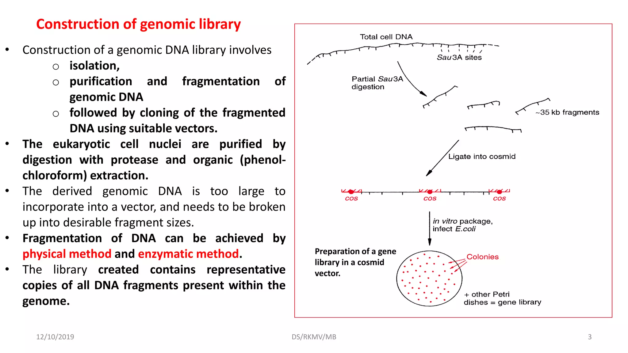 CONSTRUCTION OF GENOMIC LIBRARY MCBA P7 T (1).pdf