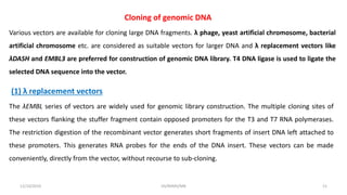 CONSTRUCTION OF GENOMIC LIBRARY MCBA P7 T (1).pdf
