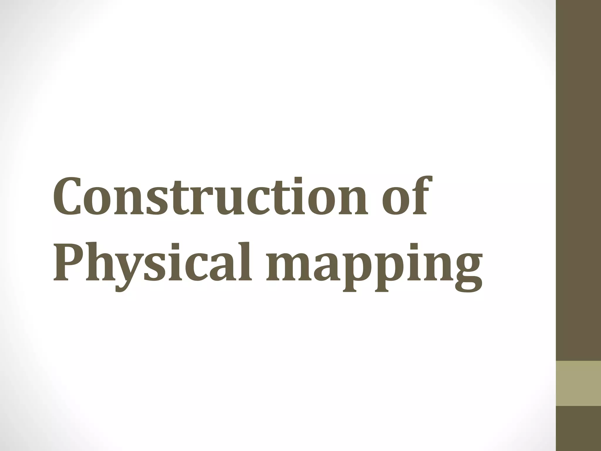 Construction of physical mapping | PPT