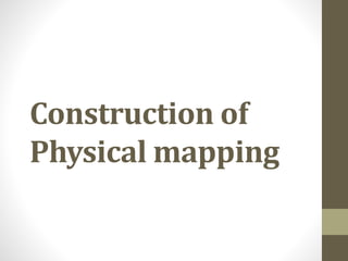Construction of physical mapping | PPTX