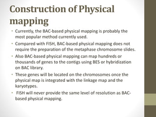 Construction of physical mapping | PPTX