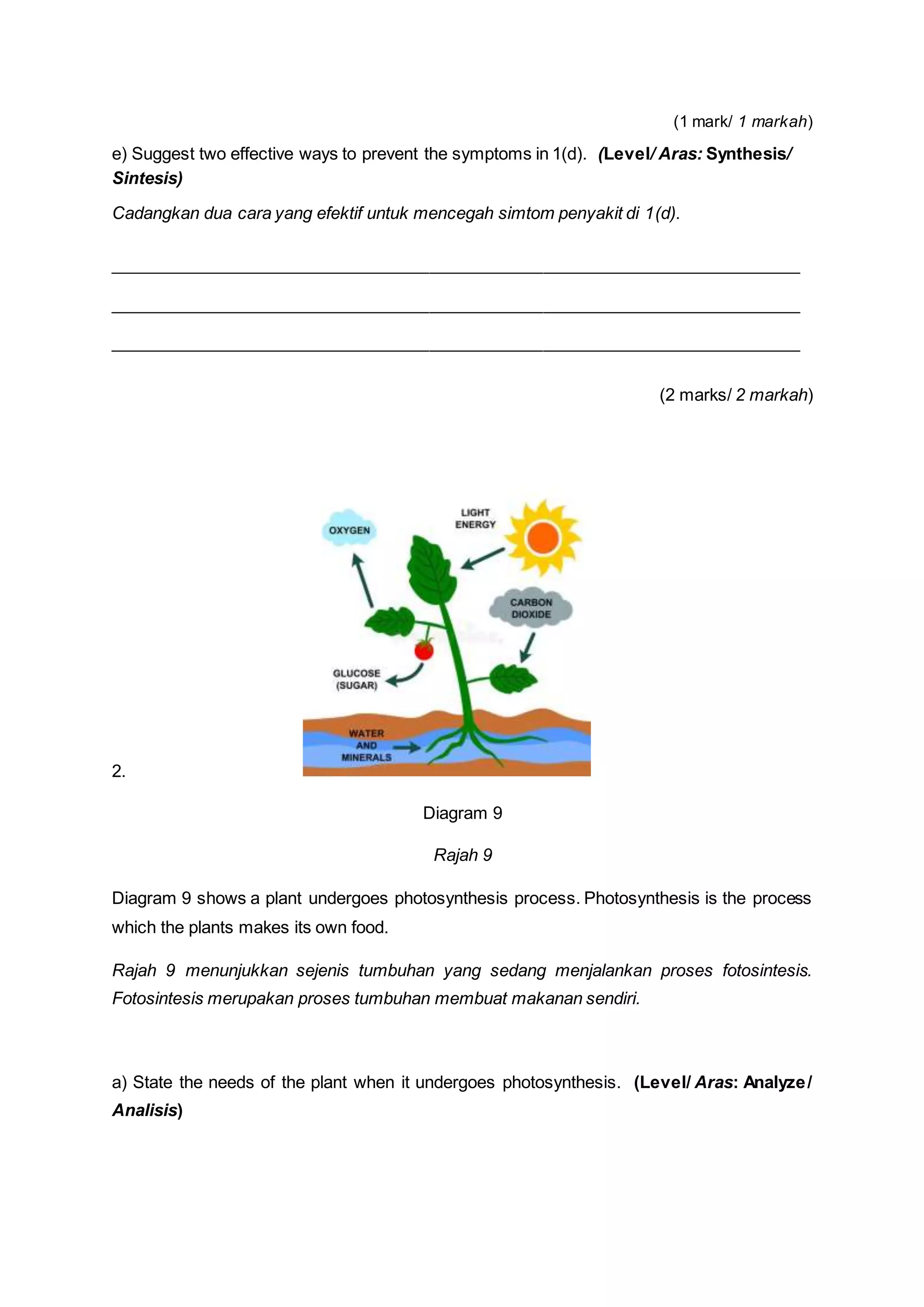 HOTS Questions for Science Year 4 | DOCX