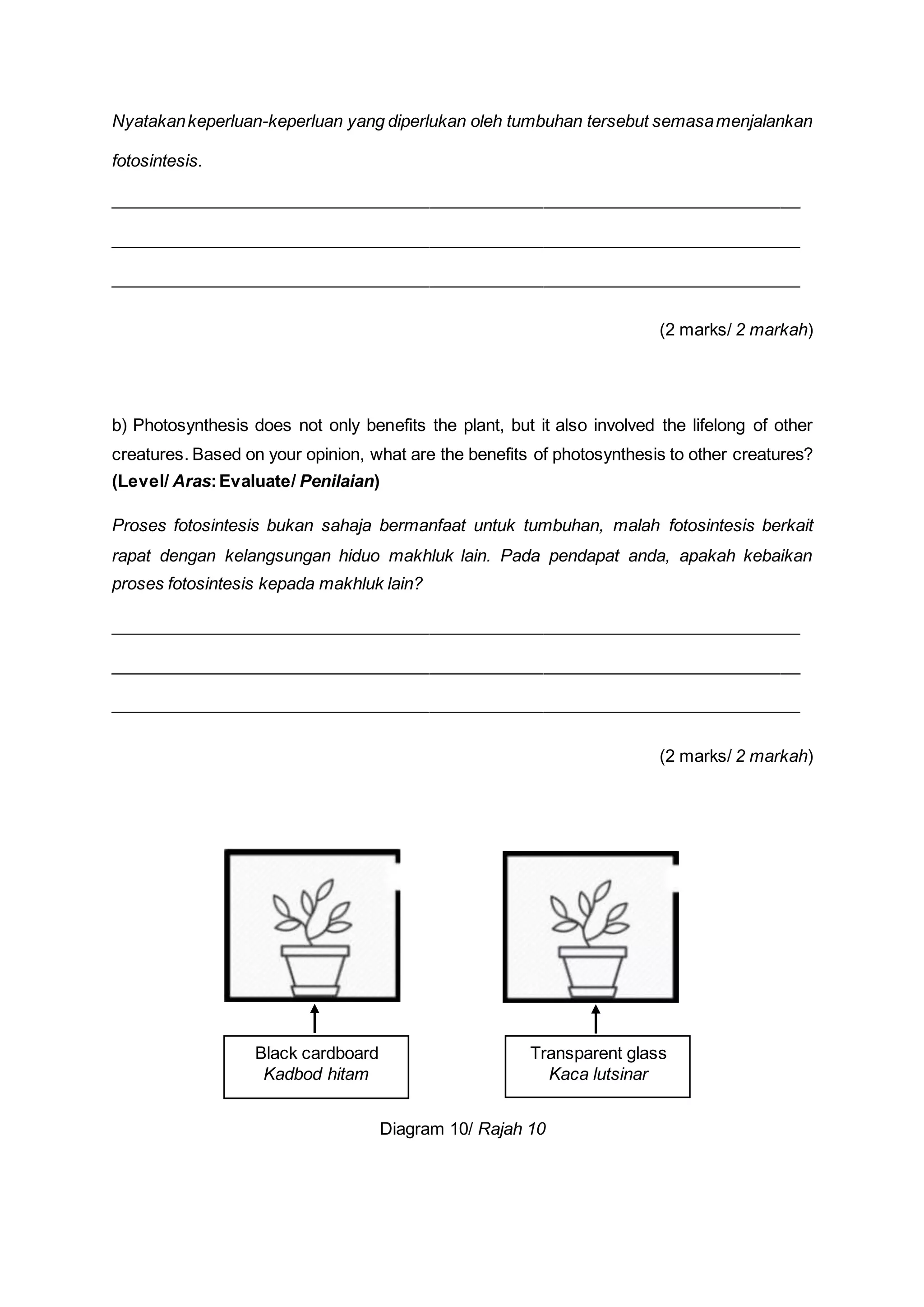 HOTS Questions for Science Year 4 | DOCX