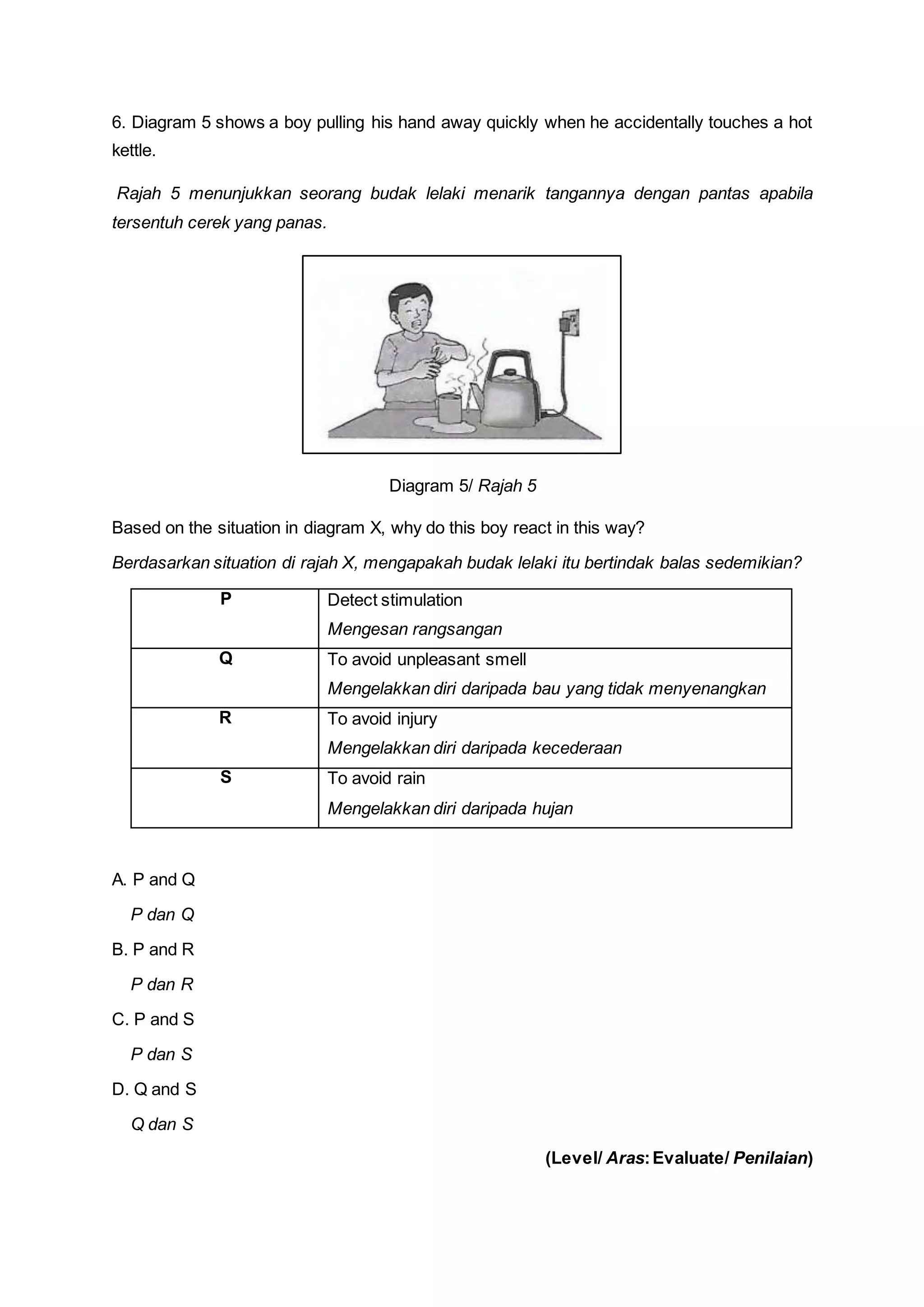 HOTS Questions for Science Year 4 | DOCX