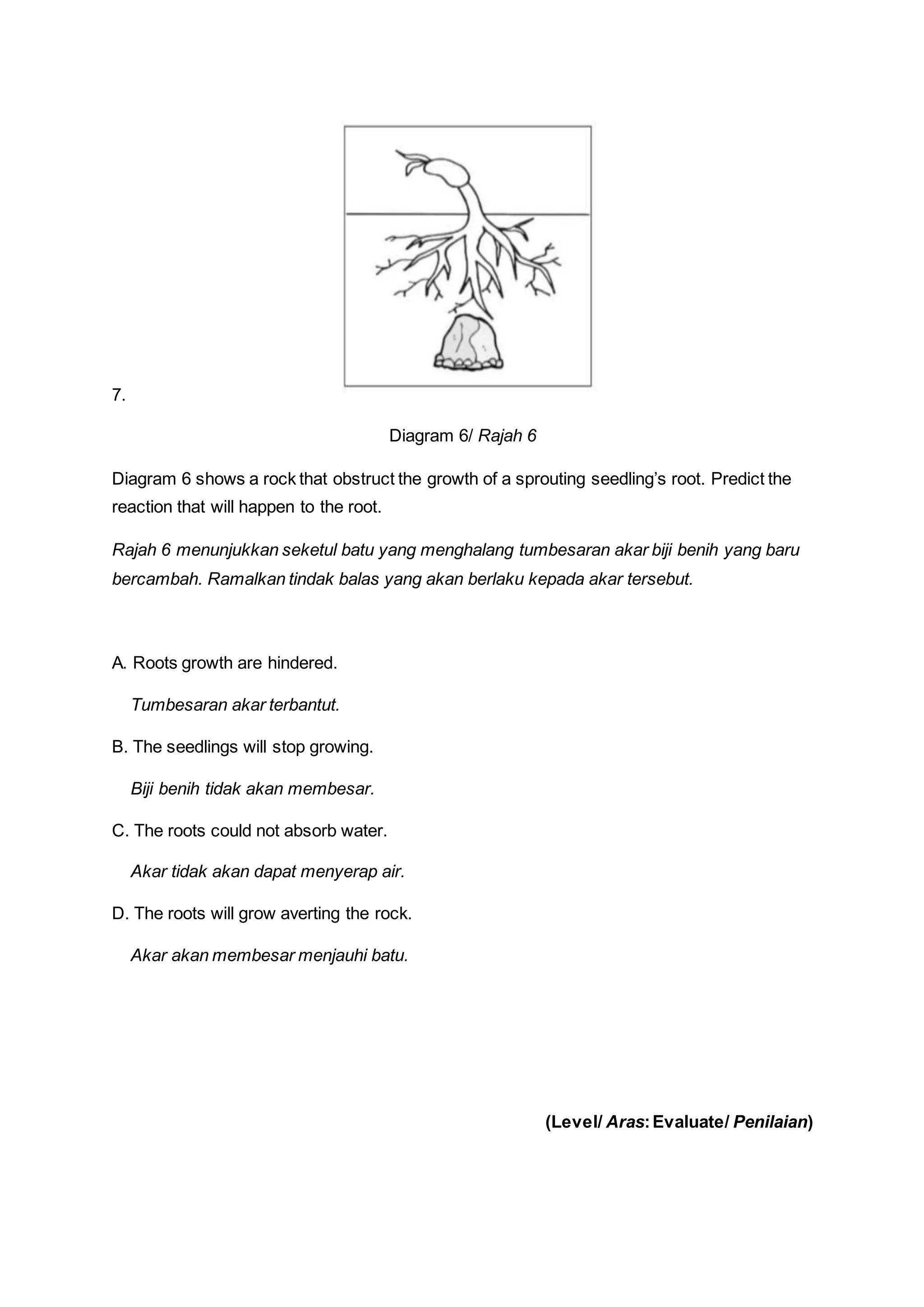 HOTS Questions for Science Year 4 | DOCX