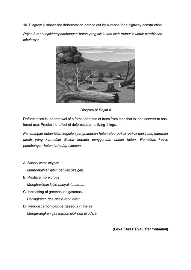 HOTS Questions for Science Year 4 | DOCX