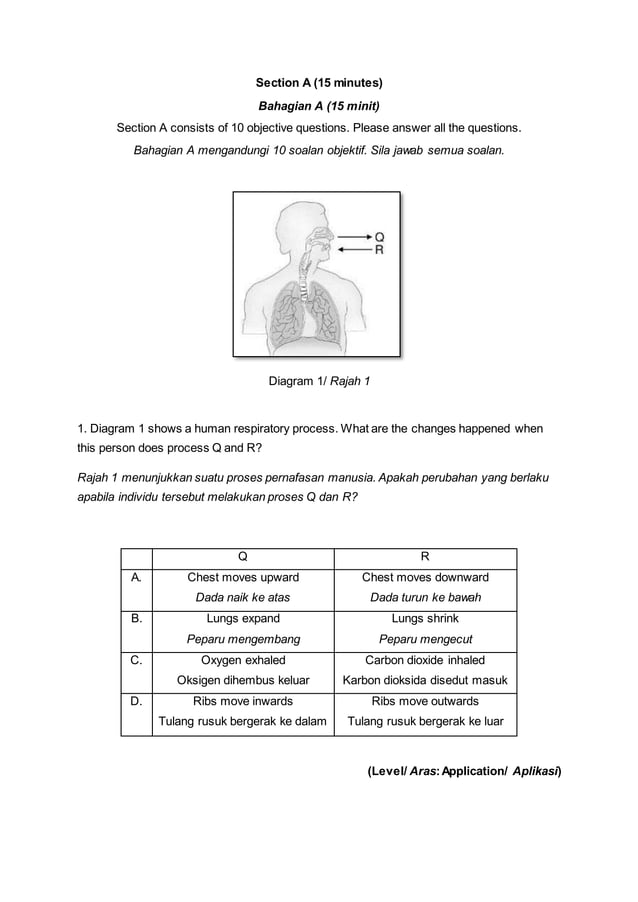 HOTS Questions for Science Year 4 | DOCX