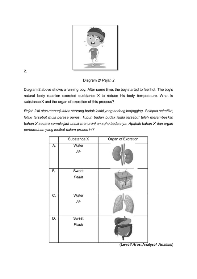 HOTS Questions for Science Year 4 | DOCX