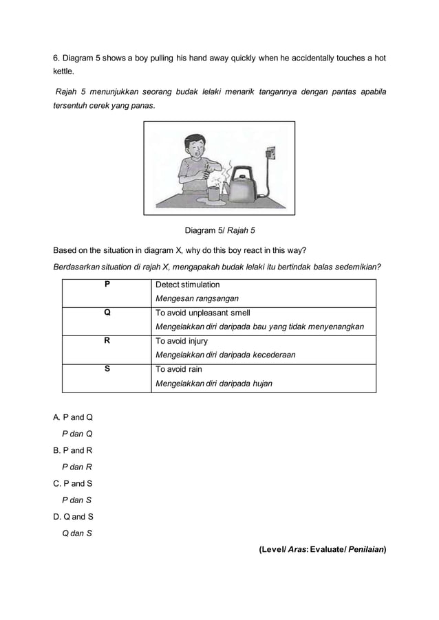 HOTS Questions for Science Year 4 | DOCX