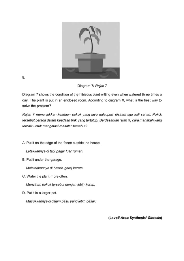 HOTS Questions for Science Year 4 | DOCX