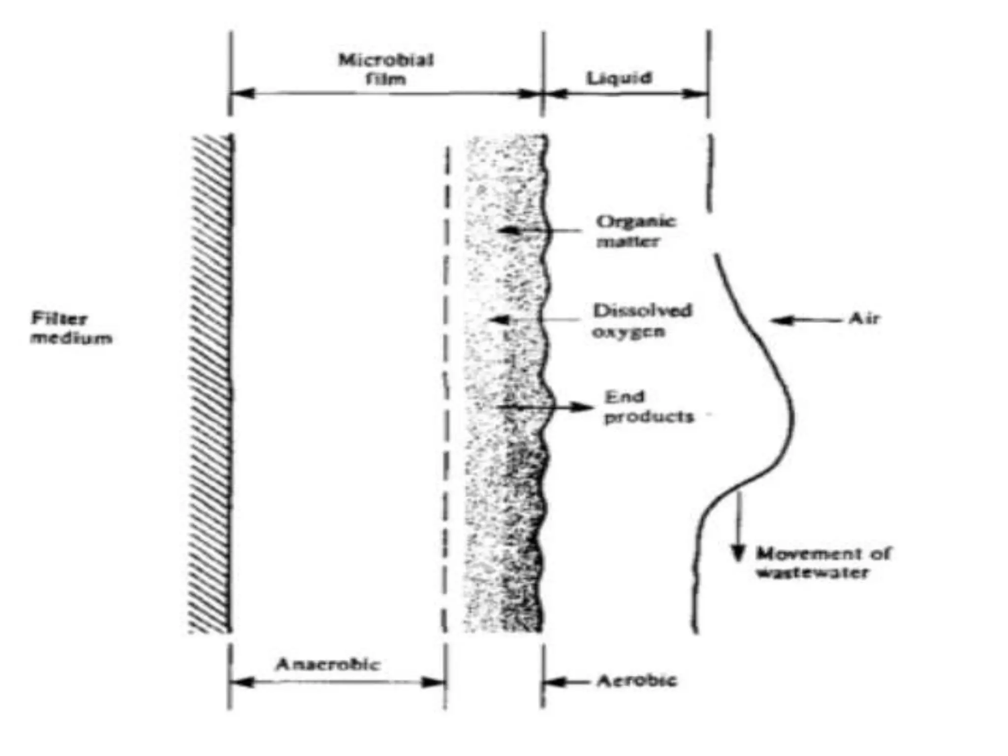 Construction,operation and maintenance of trickling filter2 | PPTX