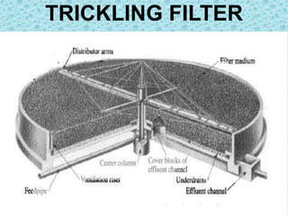 Construction,operation and maintenance of trickling filter2 | PPTX