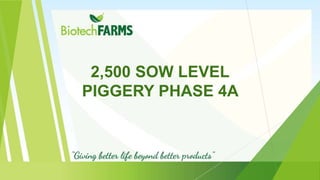 CONSTRUCTION PROJECT UPDATE- WEEK 03.ppt