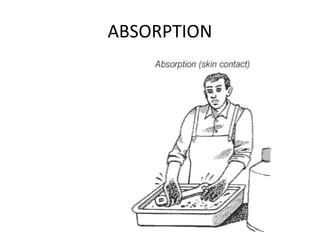Construction safety PART IV | PPT