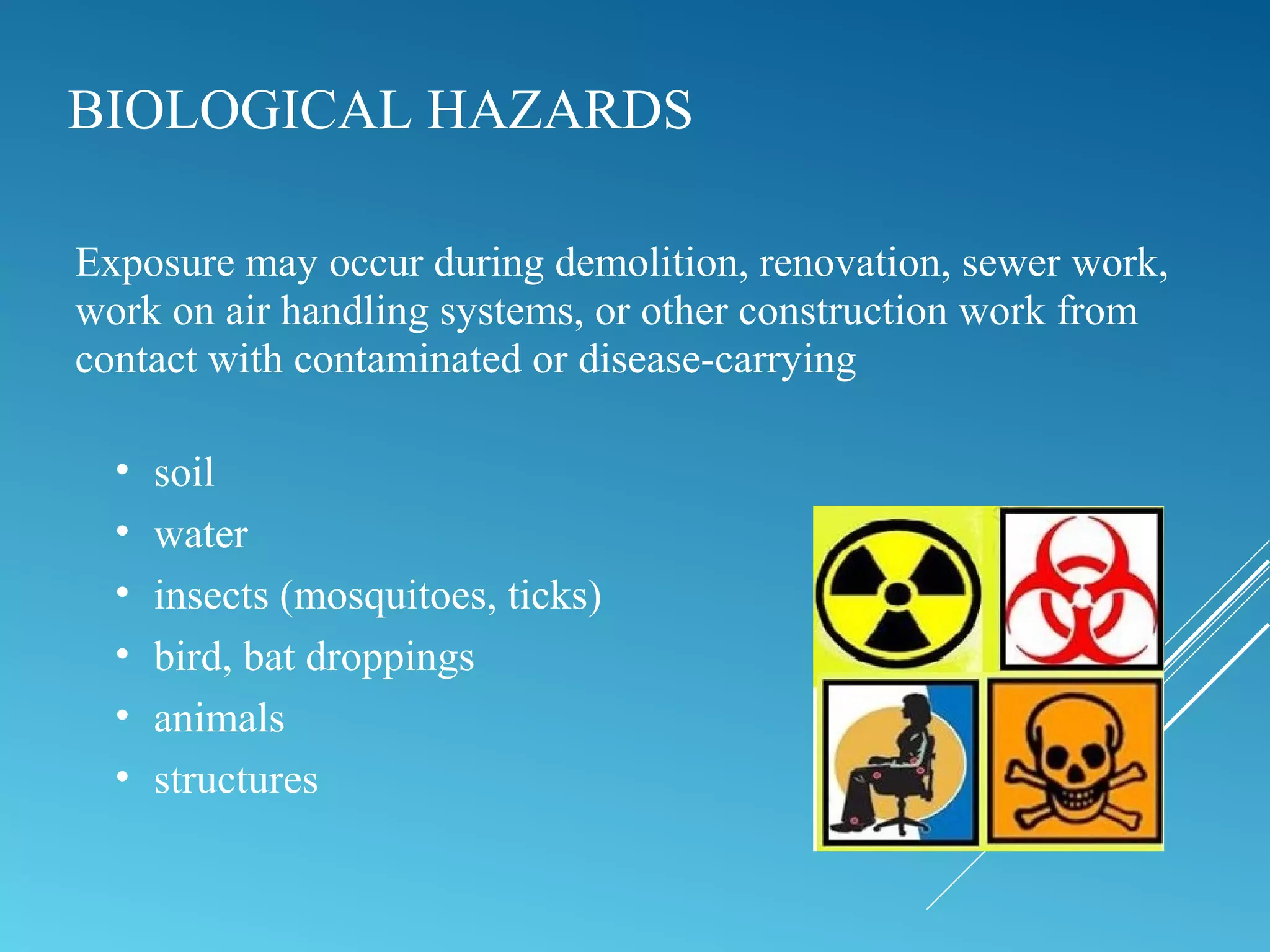 Construction Site Health & Safety | PPT