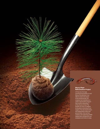 Construction Specialties Environmental Position | PDF | Environment ...